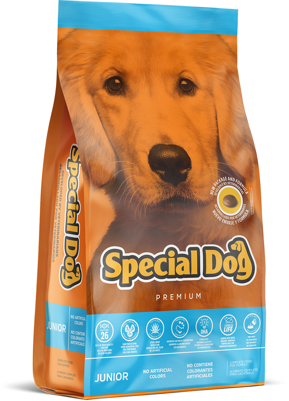 What Is Special About Dogs at Dawn Wilkerson blog