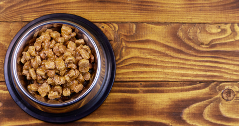 Conheça mais sobre a nutrição com alimentos úmidos e seus principais mitos.